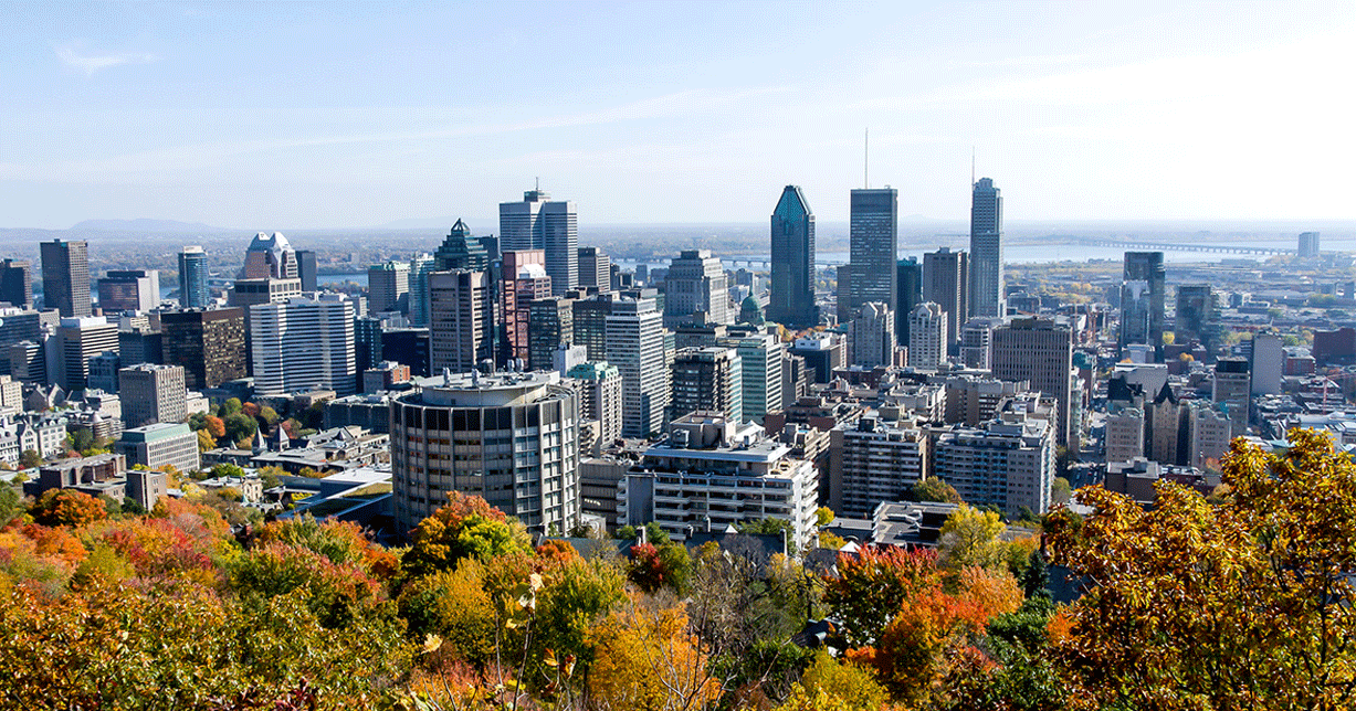 Global SAP Business One Partner, Vision33, Expands Customer Reach with ...